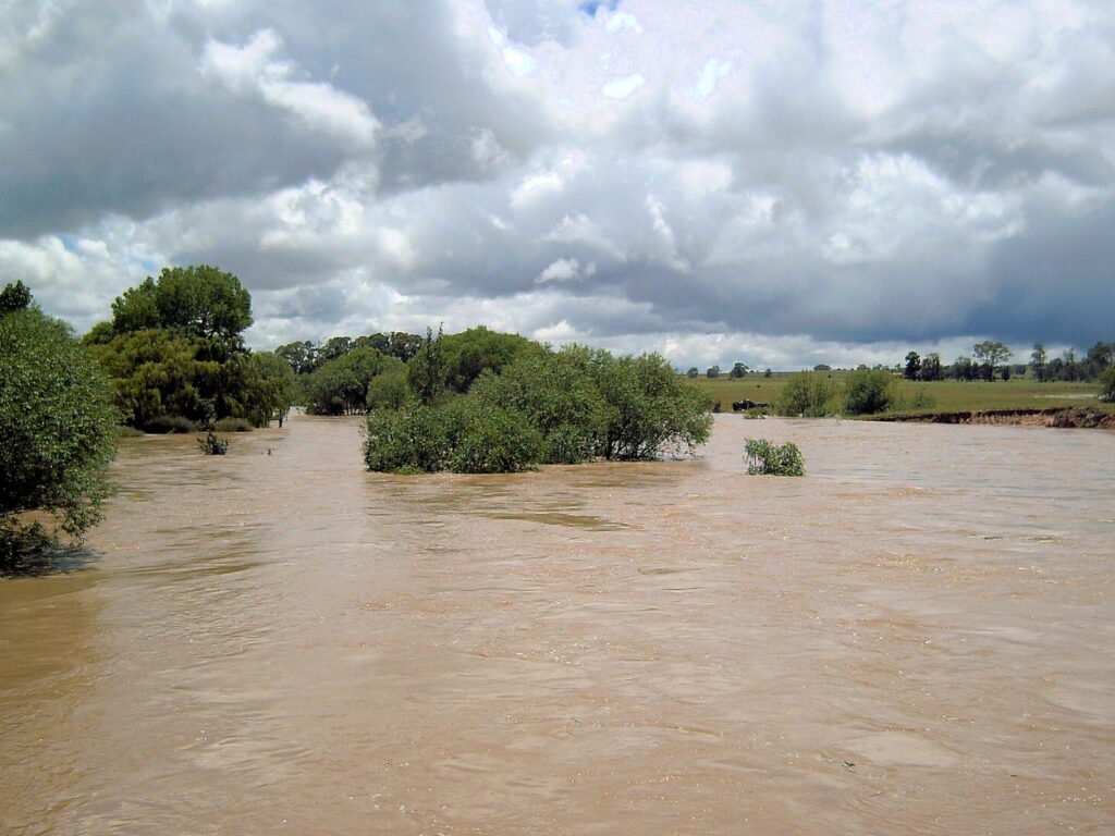 Senekal Explorer Welcome to Senekal Explorer